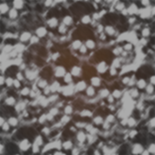 Skeleton (@Skeleton) - Jinxxy