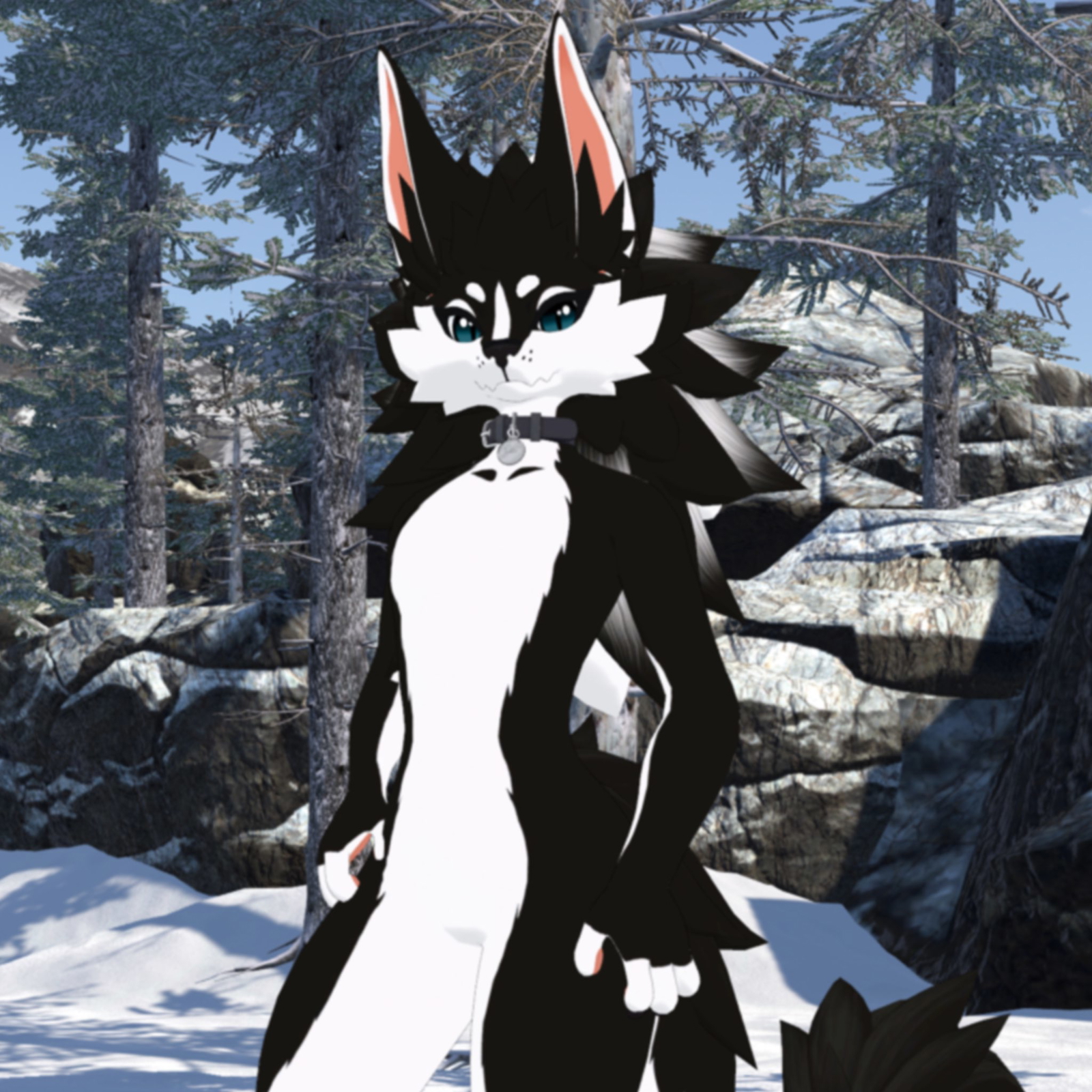 Novabeast Husky textures by cilcipher - Jinxxy
